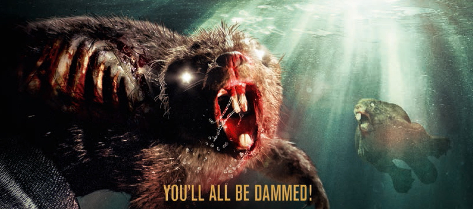 Test DVD : Zombeavers - Critique Film
