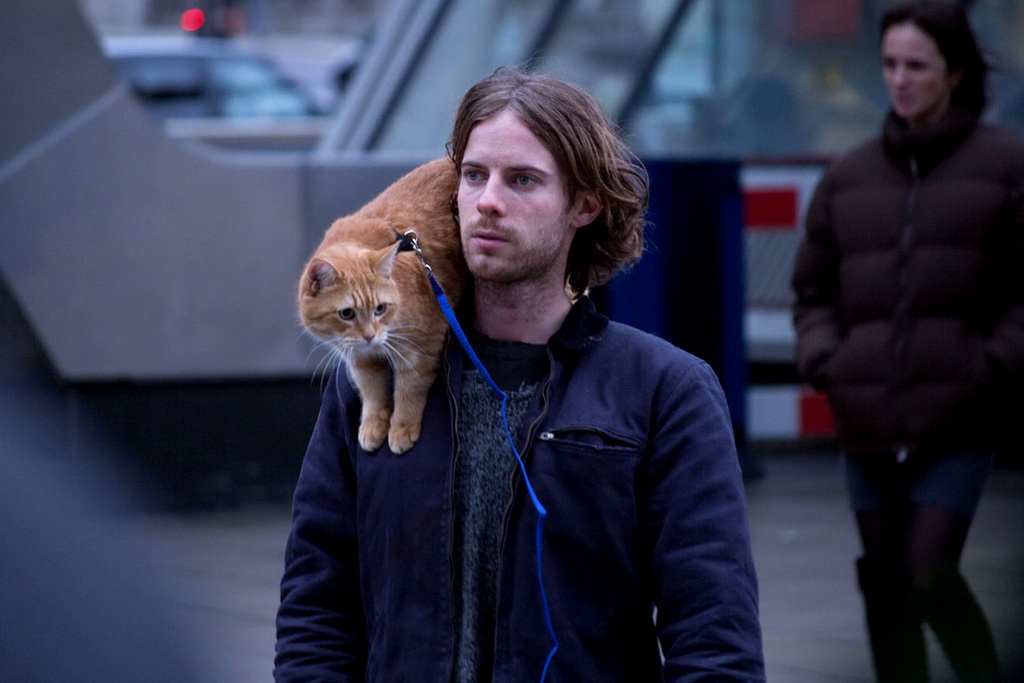 Test DVD : Un chat pour la vie - Critique Film