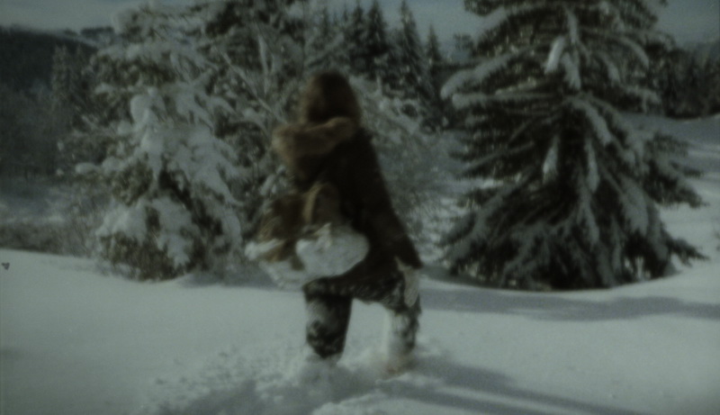 Test DVD : Cold ground - Critique Film