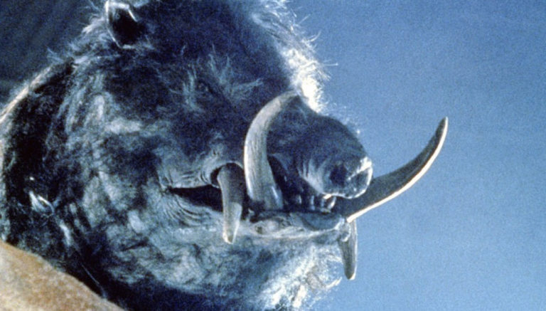 Test Blu-ray : Razorback - Critique Film