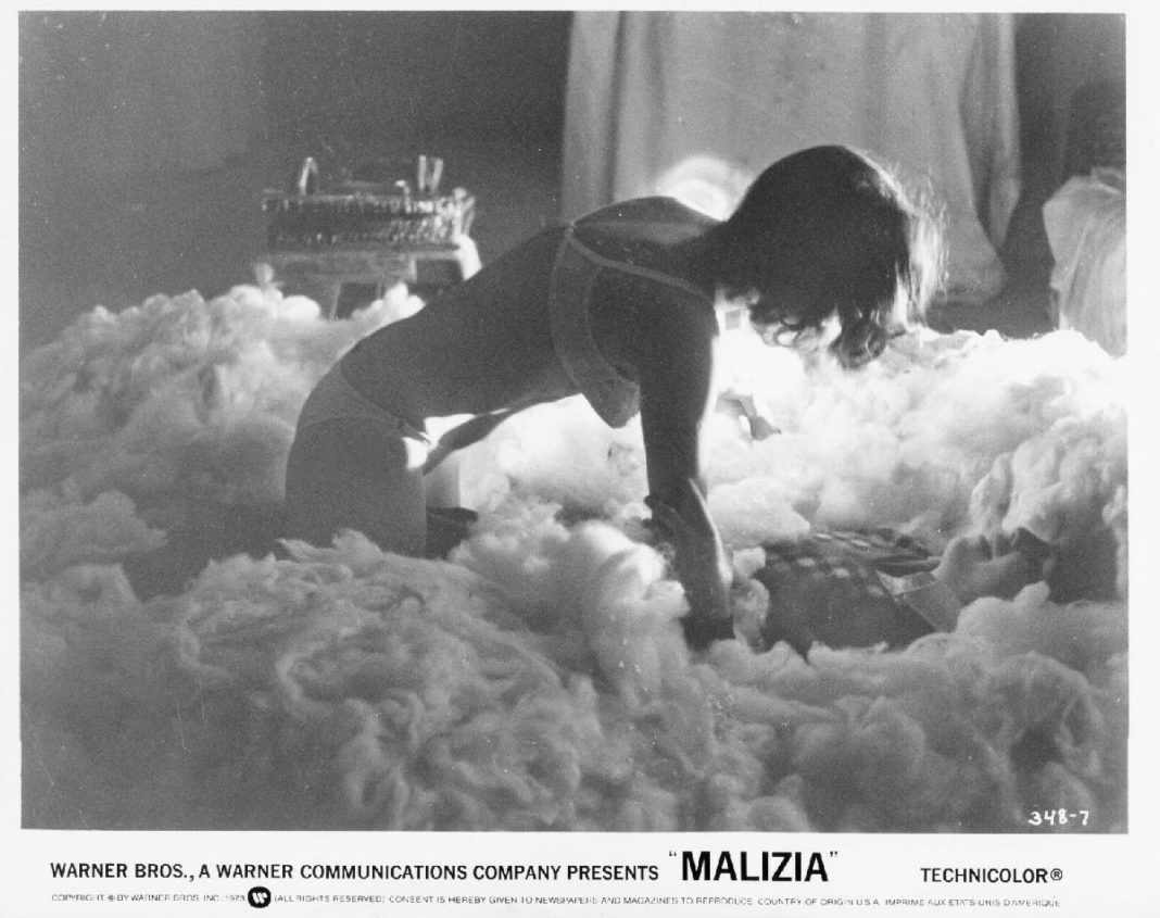 Test Blu-ray : Malicia - Critique Film Test Blu-ray : Malicia - Critique Film