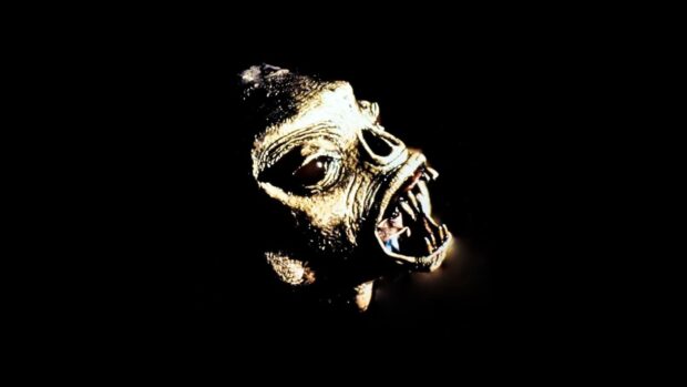 Test Blu-ray : Xtro - Critique Film