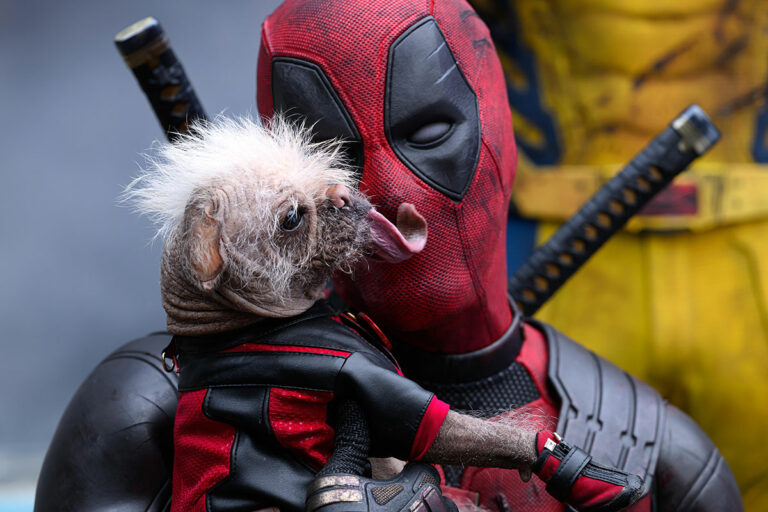 Test Blu-ray 4K Ultra HD : Deadpool & Wolverine - Critique Film