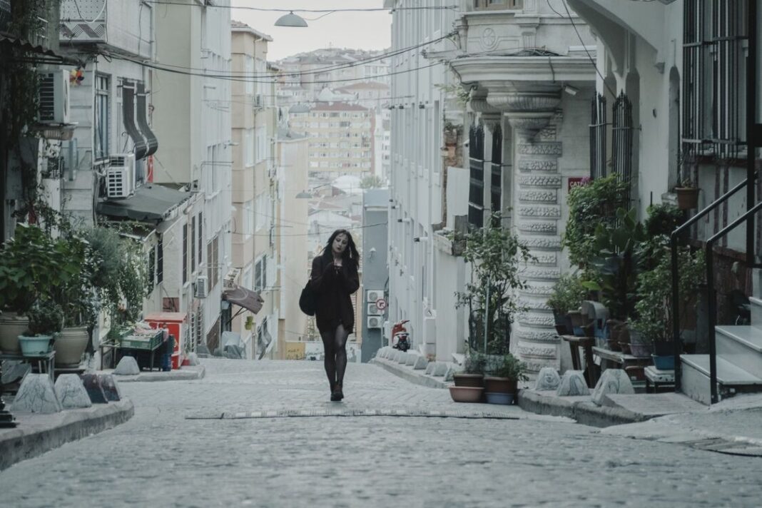 Test DVD : Crossing Istanbul - Critique Film